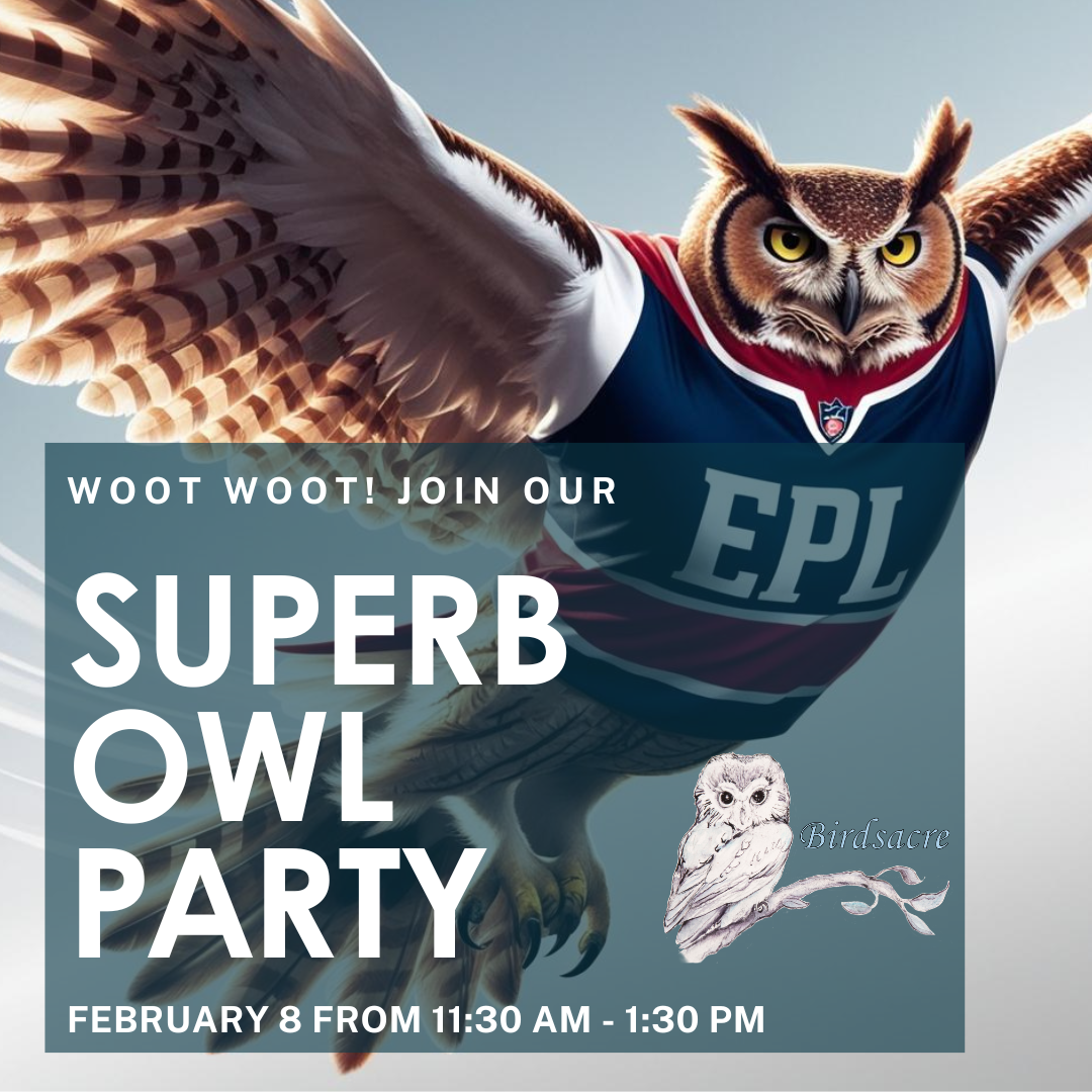 Superb Owl Party with Birdsacre - Ellsworth Public Library - Ellsworth Public Library
